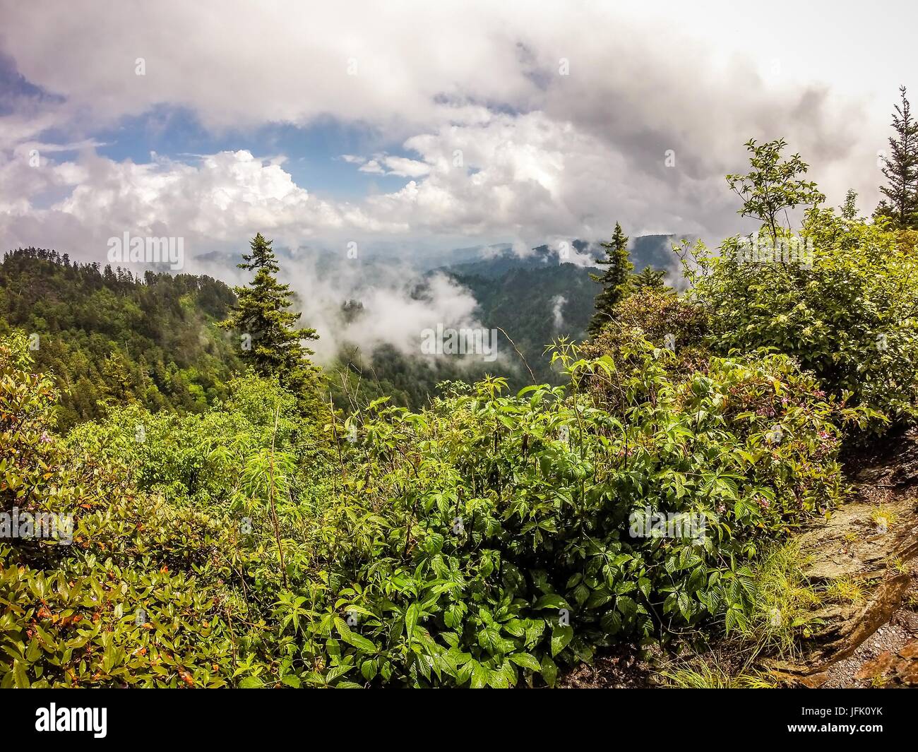 Appalachian mountains eastern north america hi-res stock photography ...