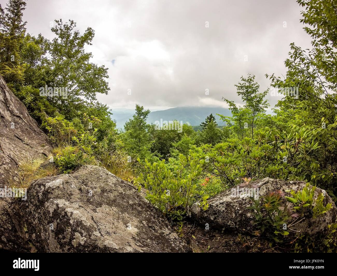 scenes along appalachian trail in smoky mountains north carolina Stock ...