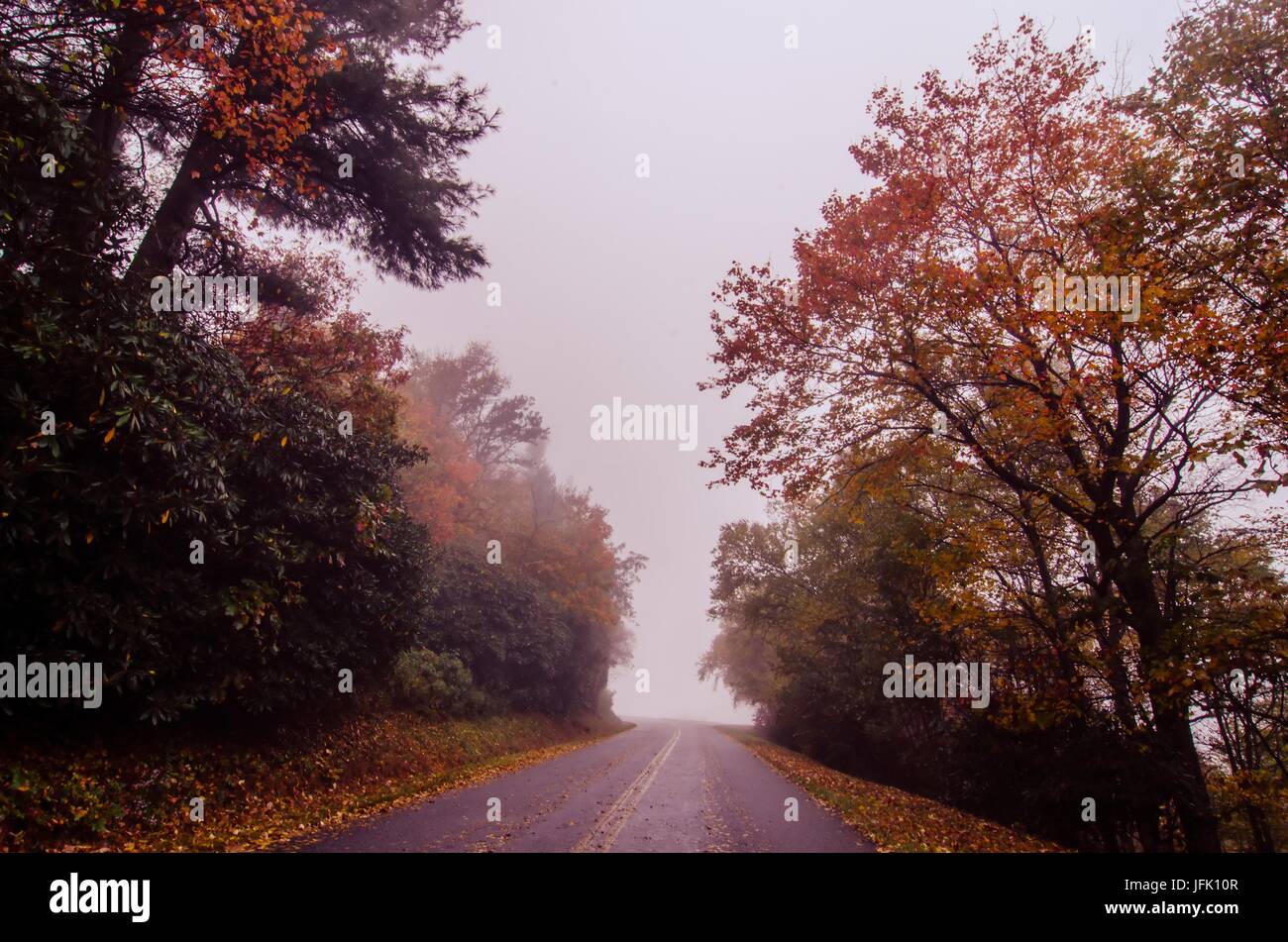 autumn foggy day along blue ridge parkway Stock Photo - Alamy