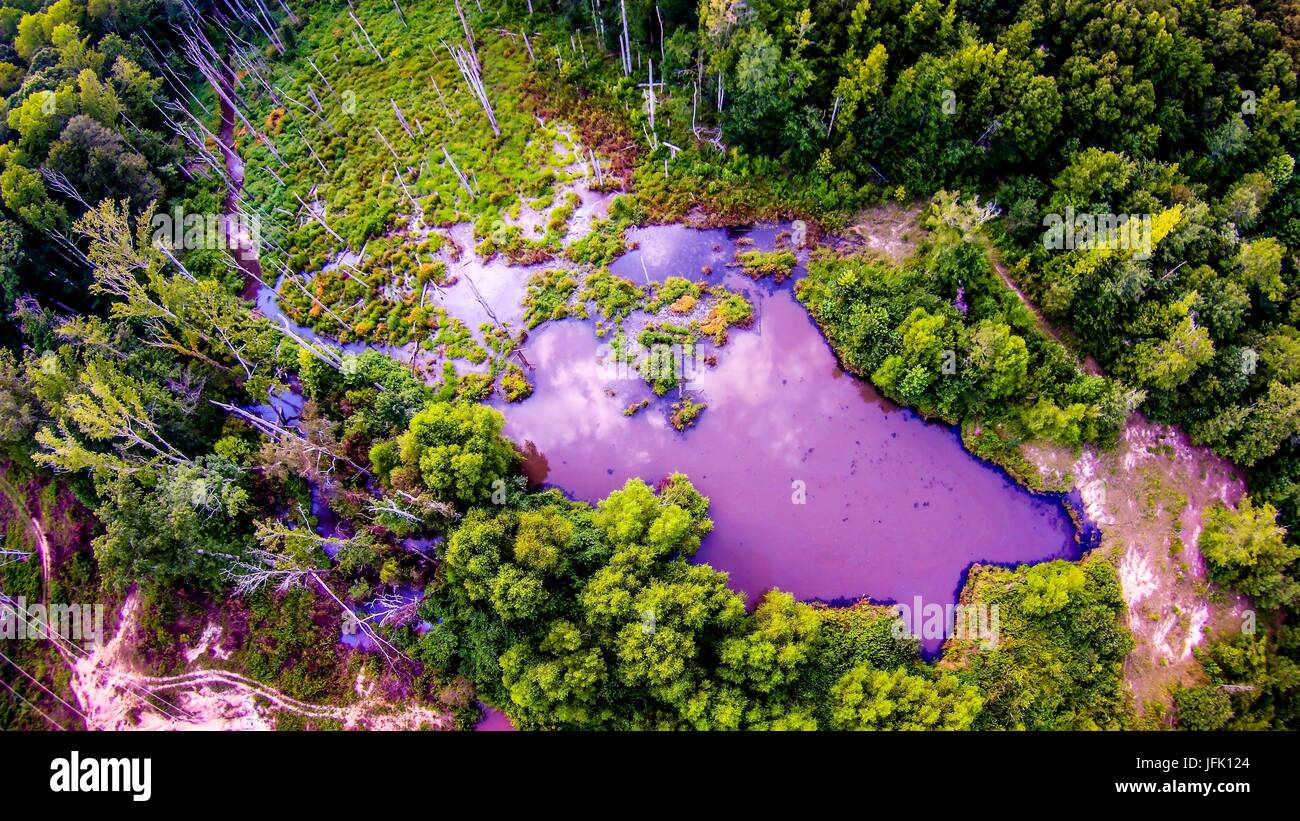 aerial over pond and forest Stock Photo - Alamy