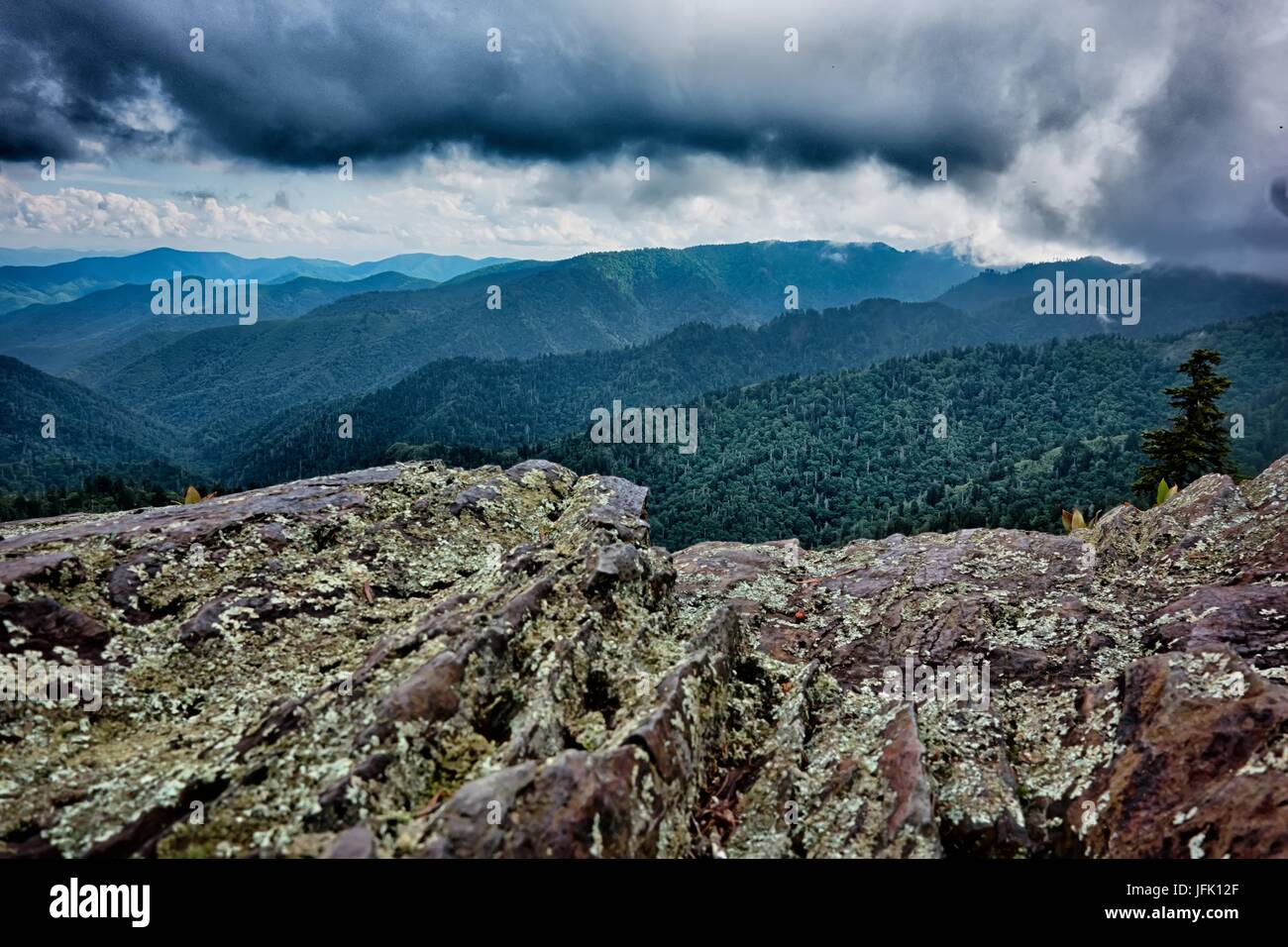 scenes along appalachian trail in great smoky mountains Stock Photo - Alamy