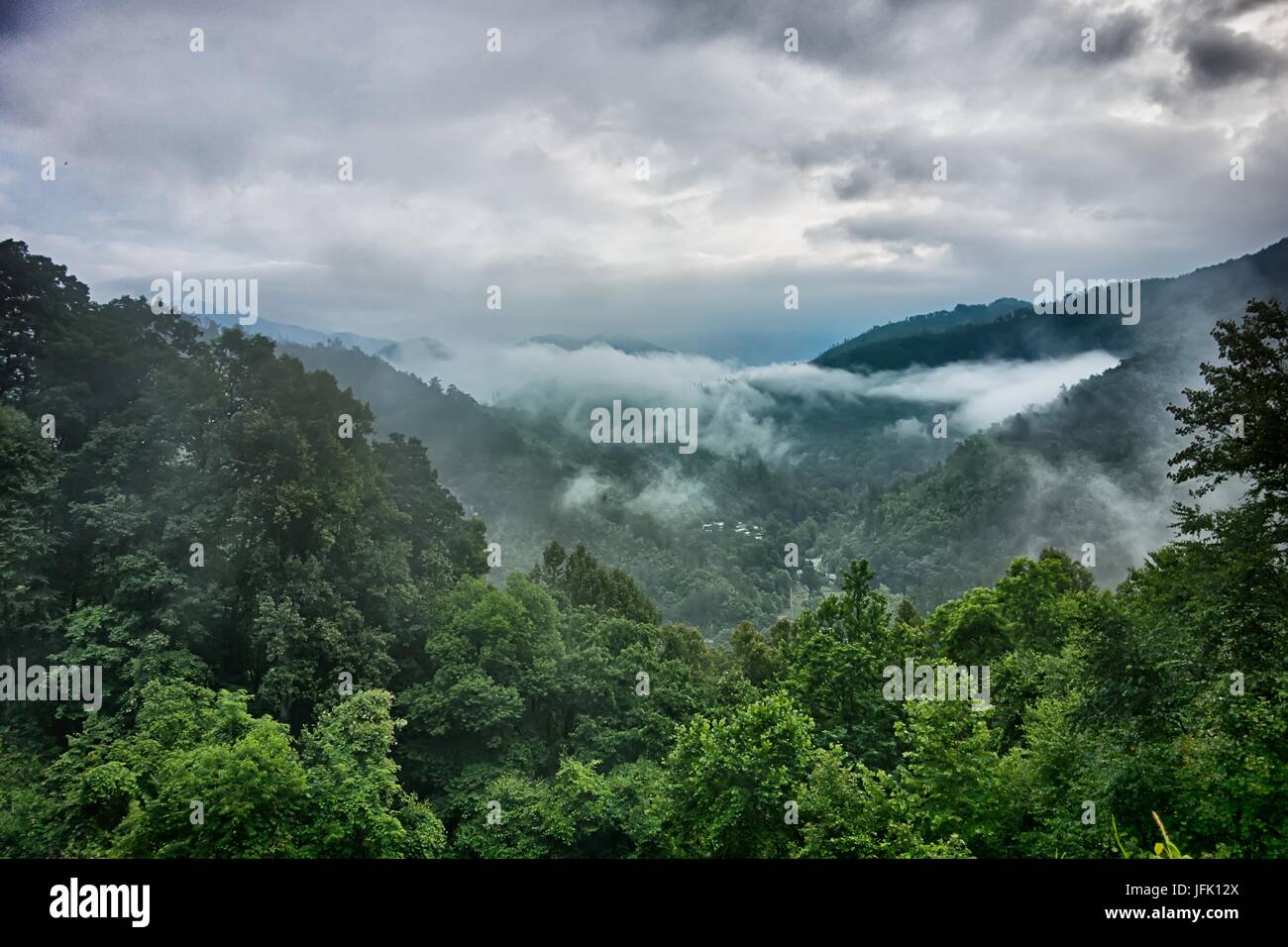 scenes along appalachian trail in great smoky mountains Stock Photo - Alamy