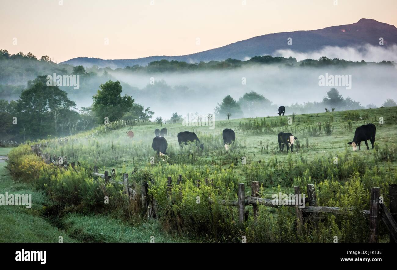 fog rolling through blue ridge parkway farm lands Stock Photo - Alamy