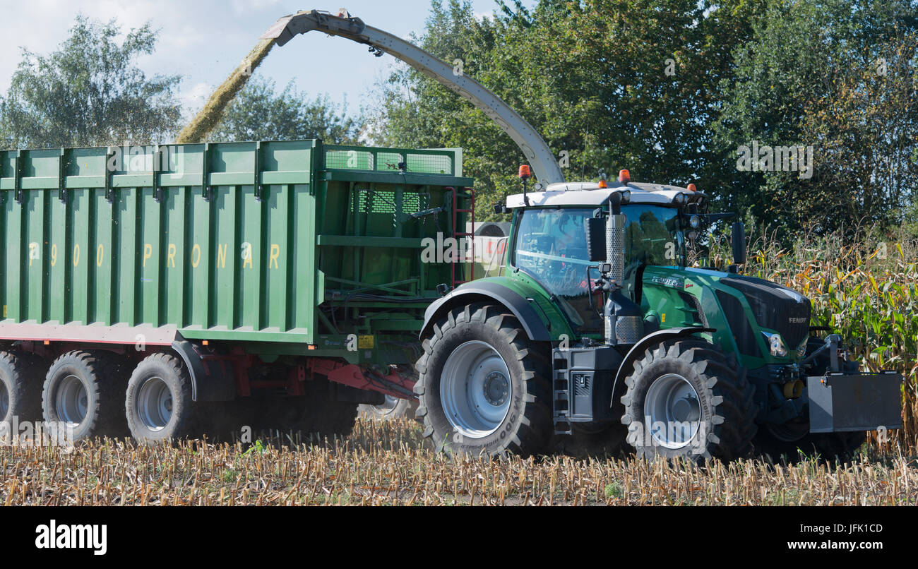 Maize harvester with tractor at the corn harvest Stock Photo - Alamy