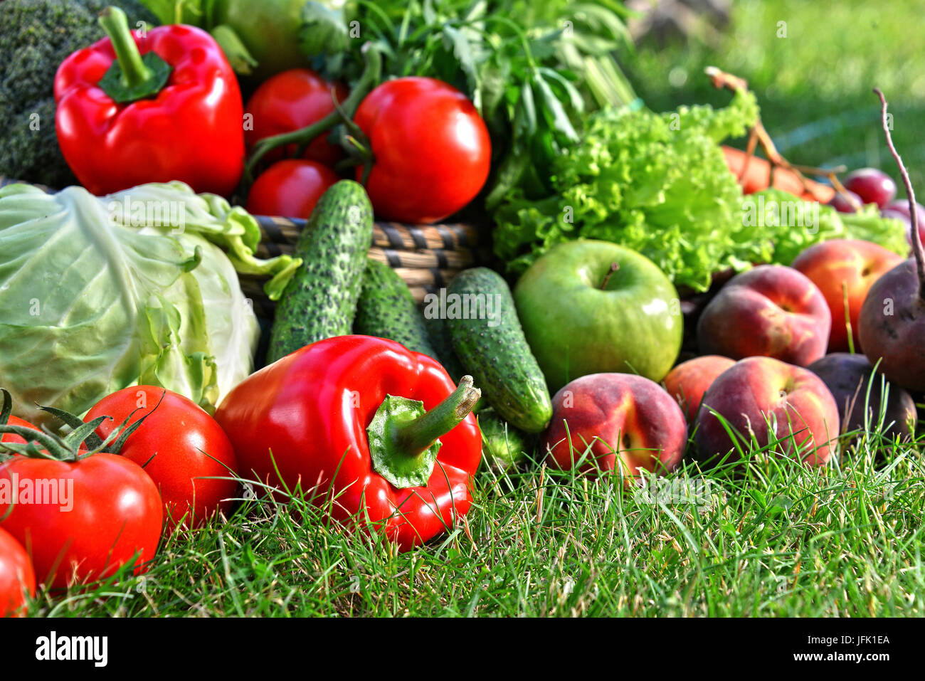Variety of fresh organic vegetables and fruits in the garden Stock ...