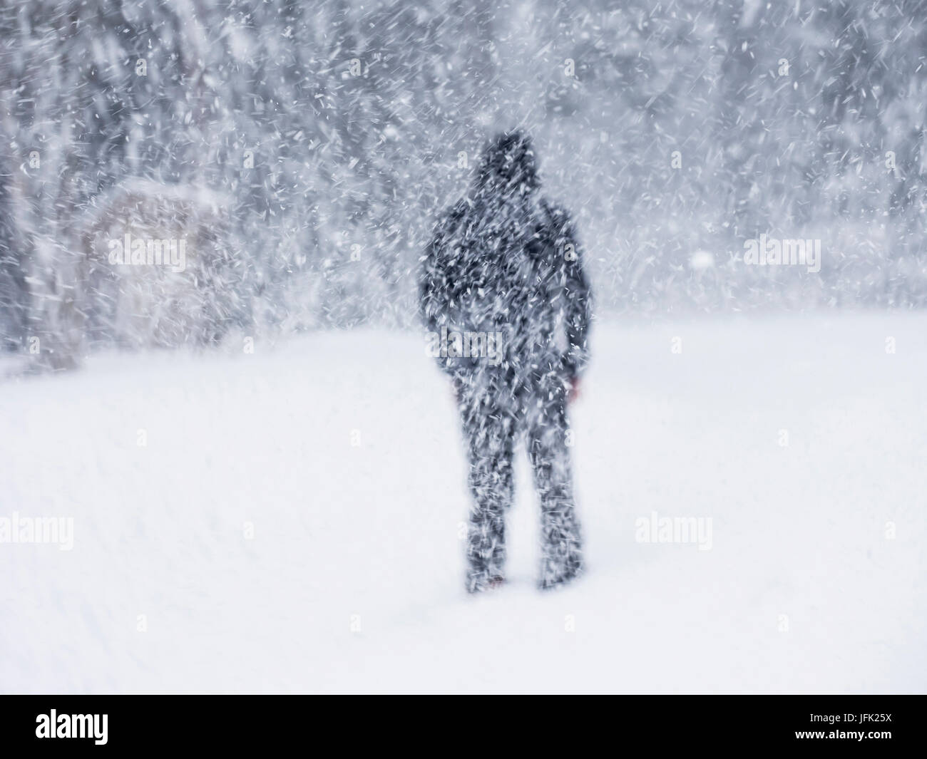 Rear view of man standing in snow Stock Photo - Alamy