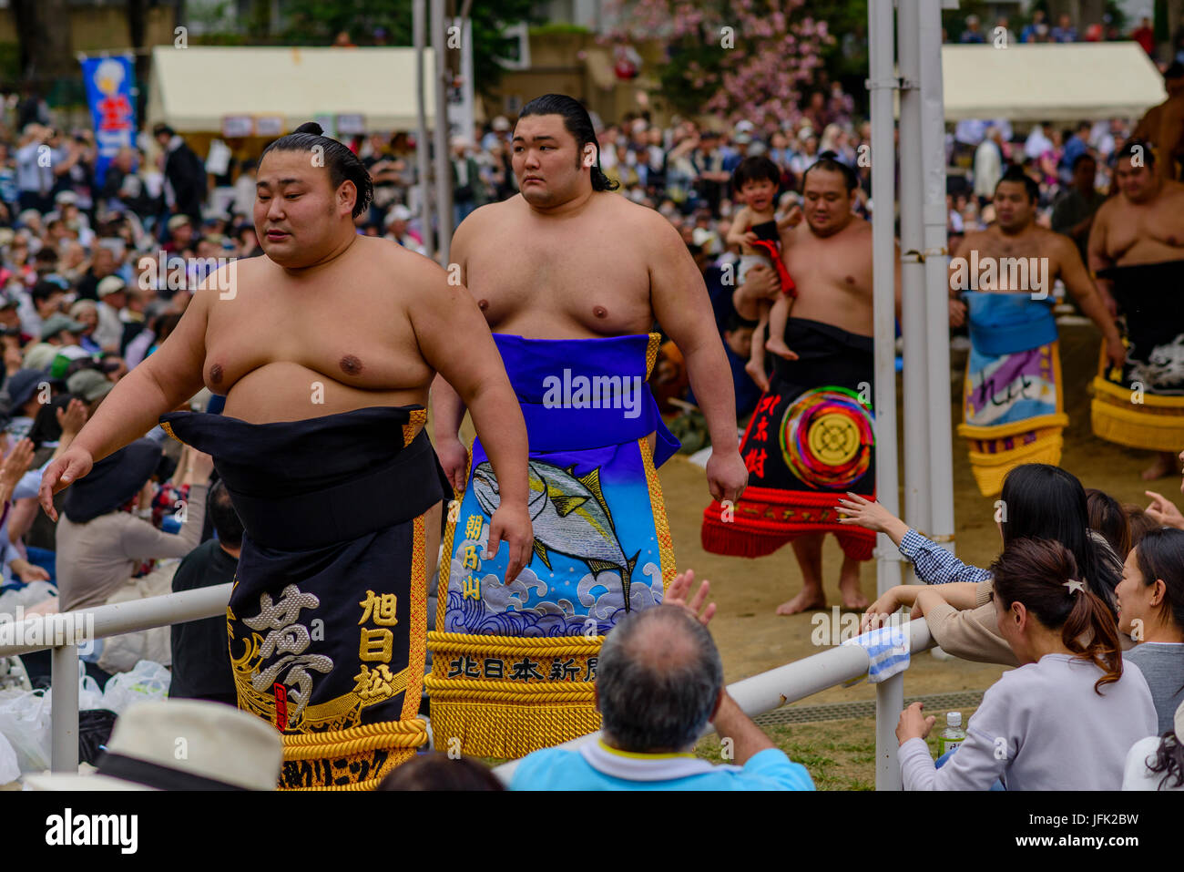 Sumo tournament at Yasukuni shrine Stock Photo - Alamy