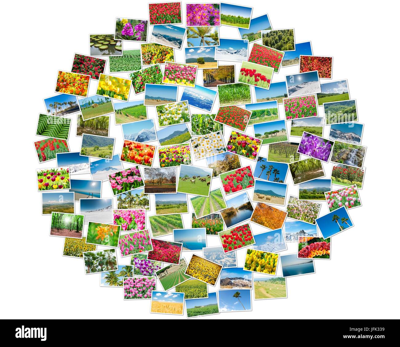 Various nature photos arranged in round frame Stock Photo - Alamy