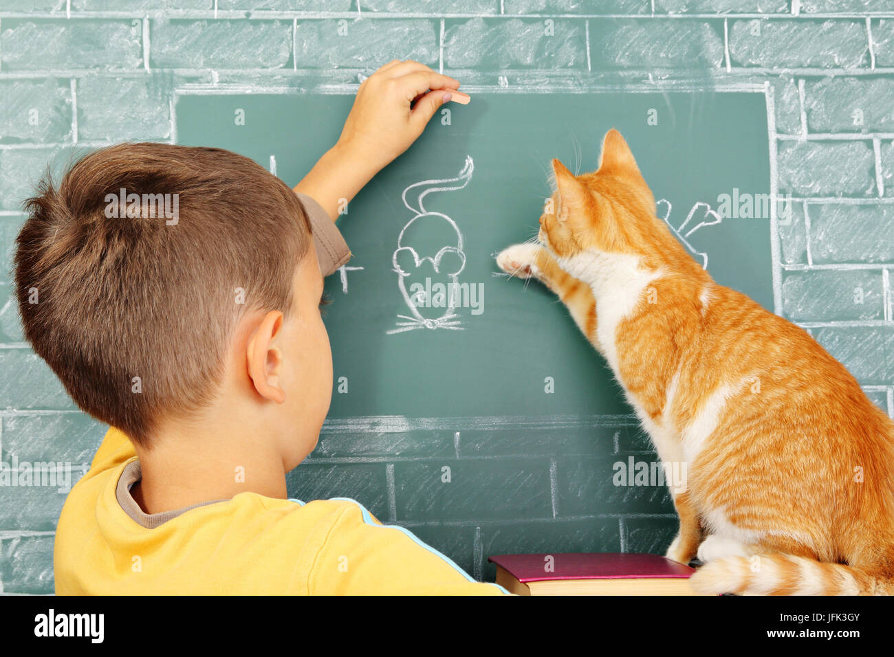 Education joke: The learner the cat who incorrectly solved a problem ... Education joke: The learner the cat who incorrectly solved a problem ...