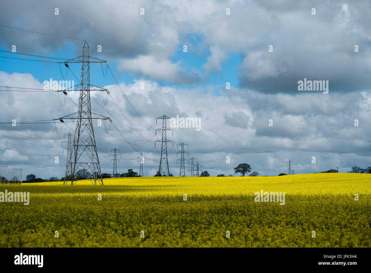 National Grid electricity pylons running through a field of Oil Seed ...