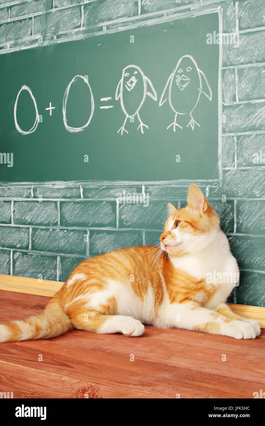 Class advance arithmetic hi-res stock photography and images - Alamy