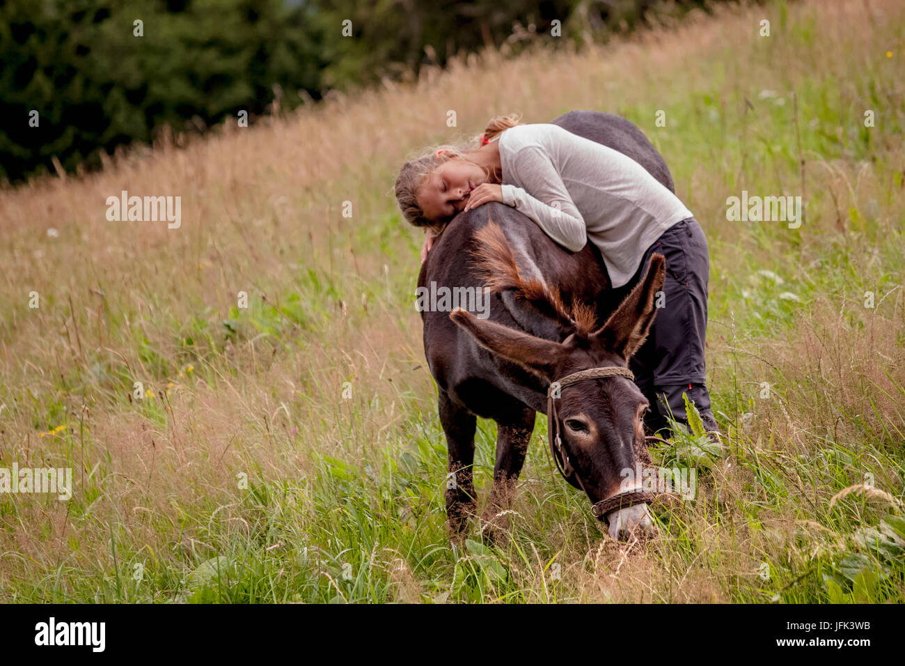 Tired donkey child hi-res stock photography and images - Alamy