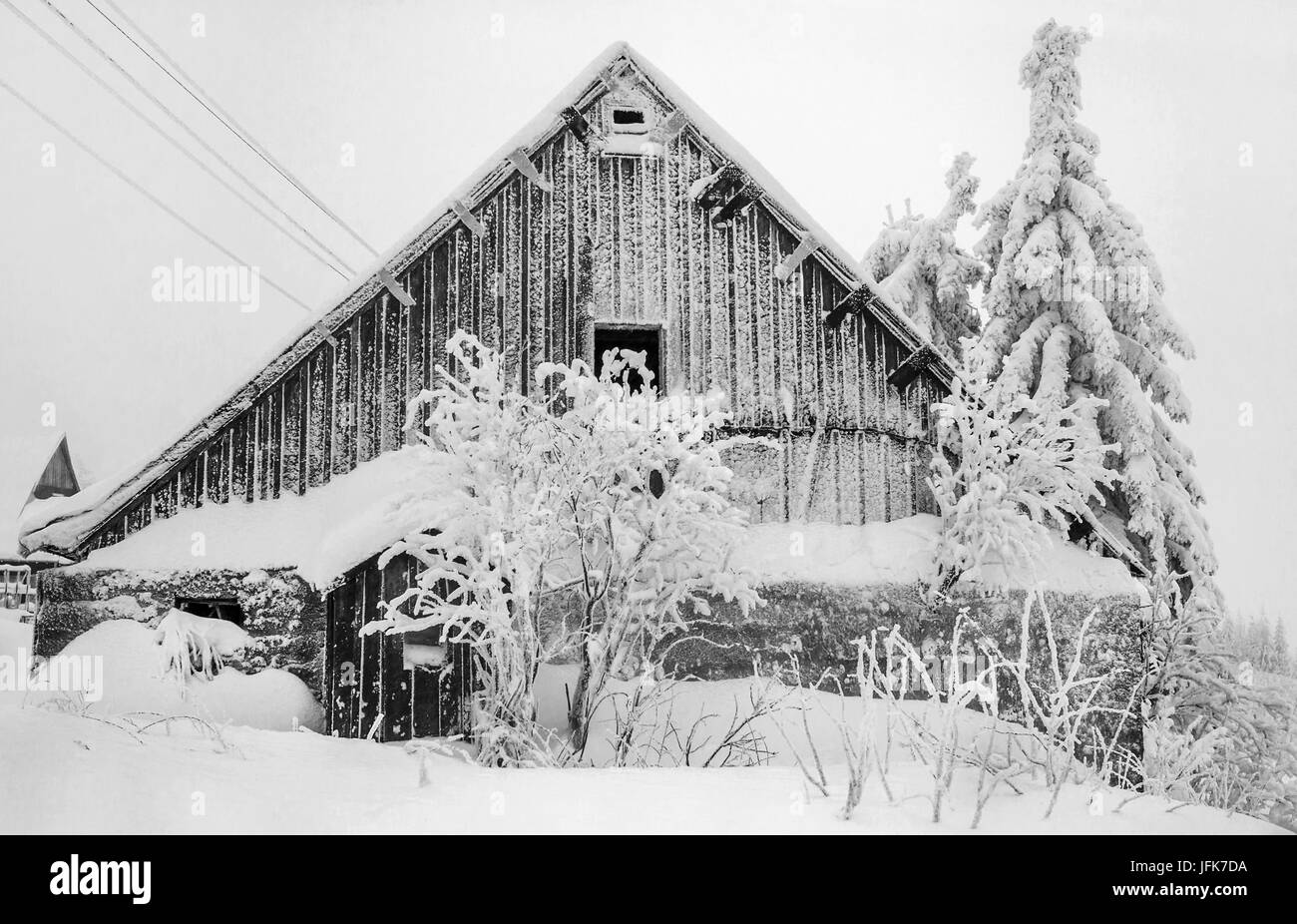 Frosty tree limb Black and White Stock Photos & Images - Alamy