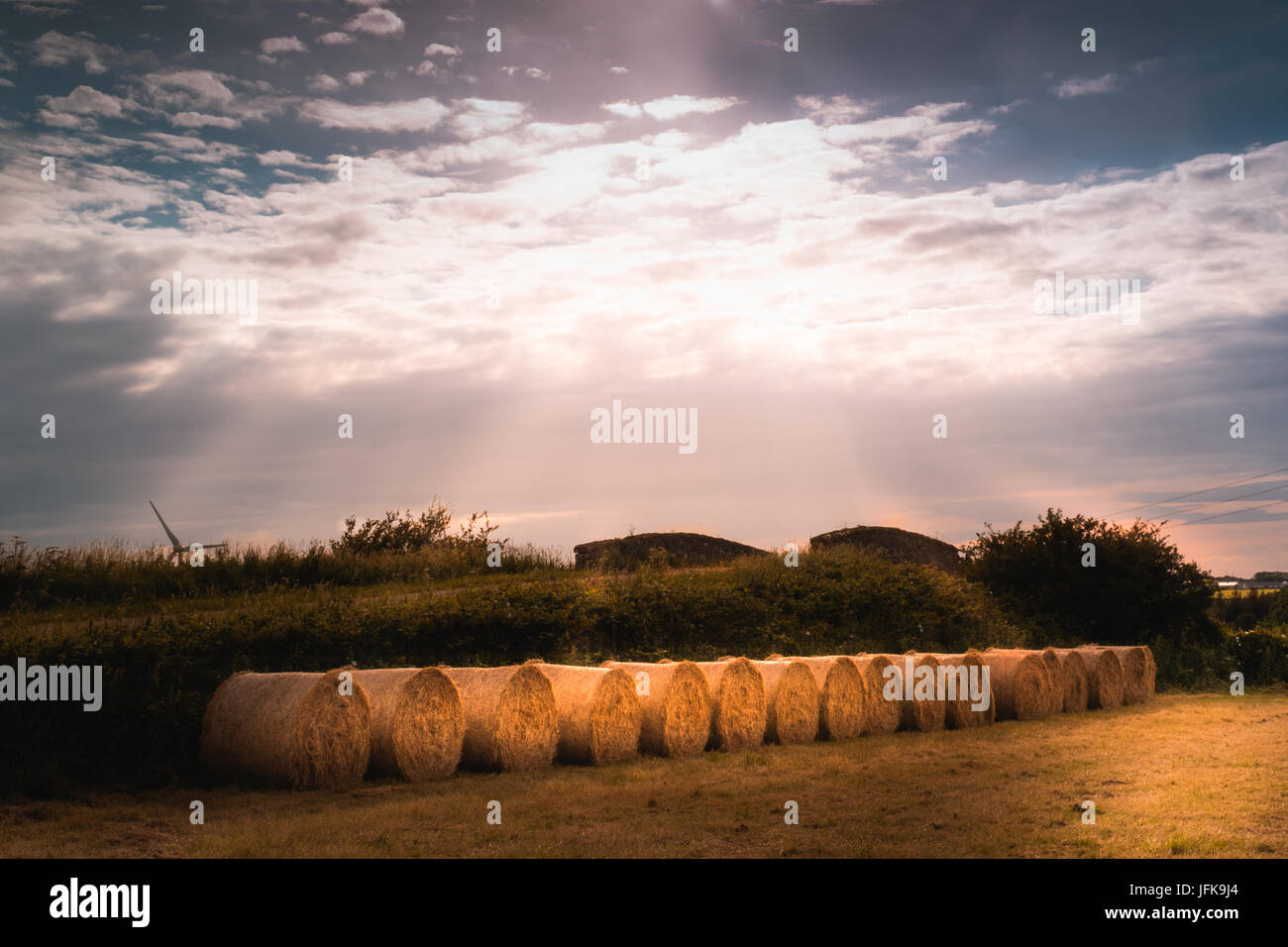 Round Hay Bales Stock Photo - Alamy