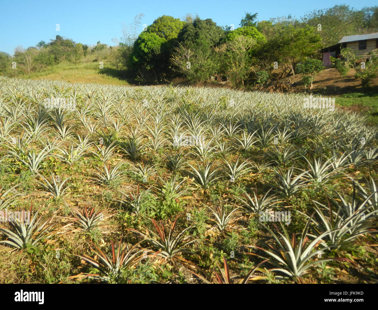 Roadscountry hi-res stock photography and images - Alamy