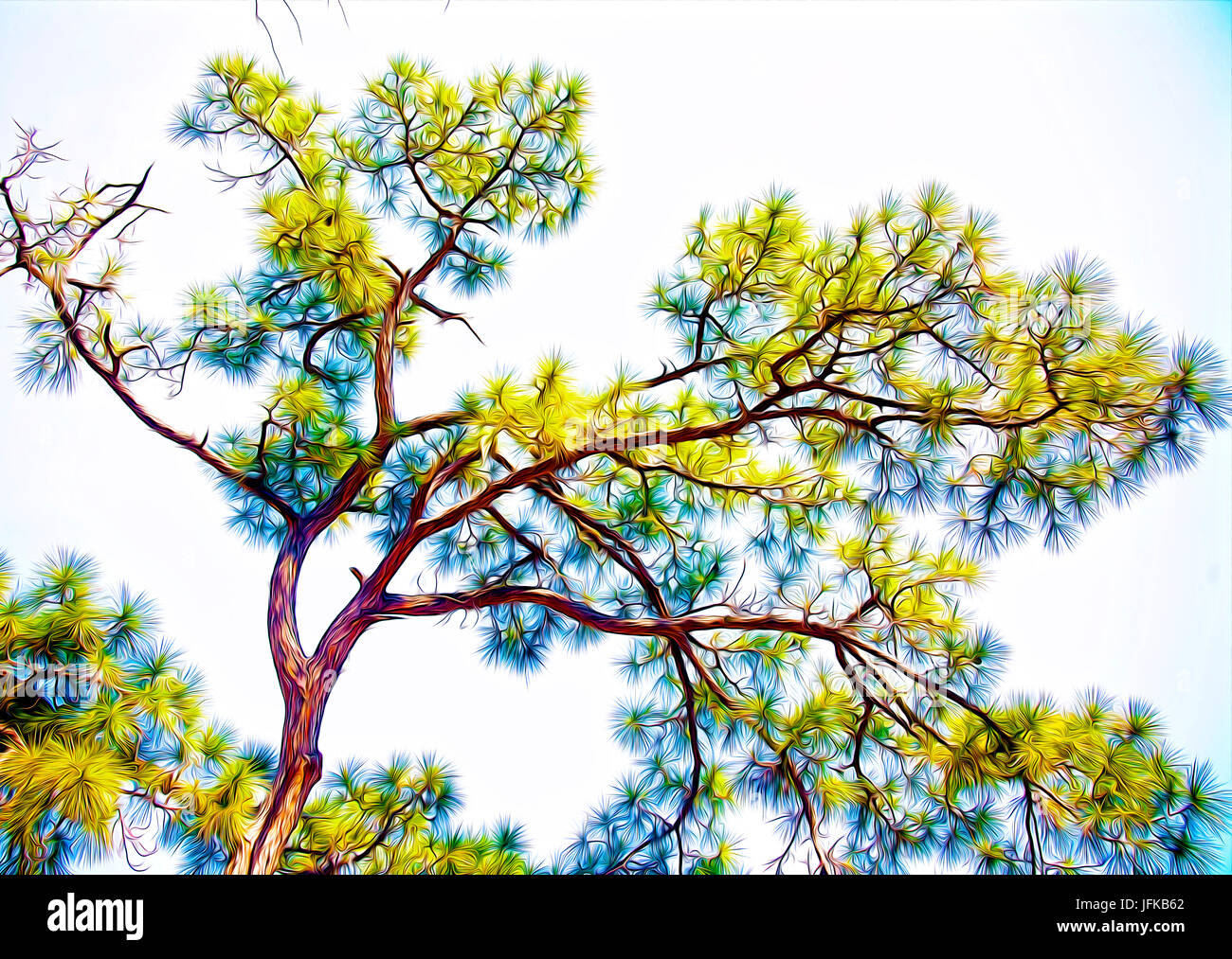 Bending palm tree hi-res stock photography and images - Alamy