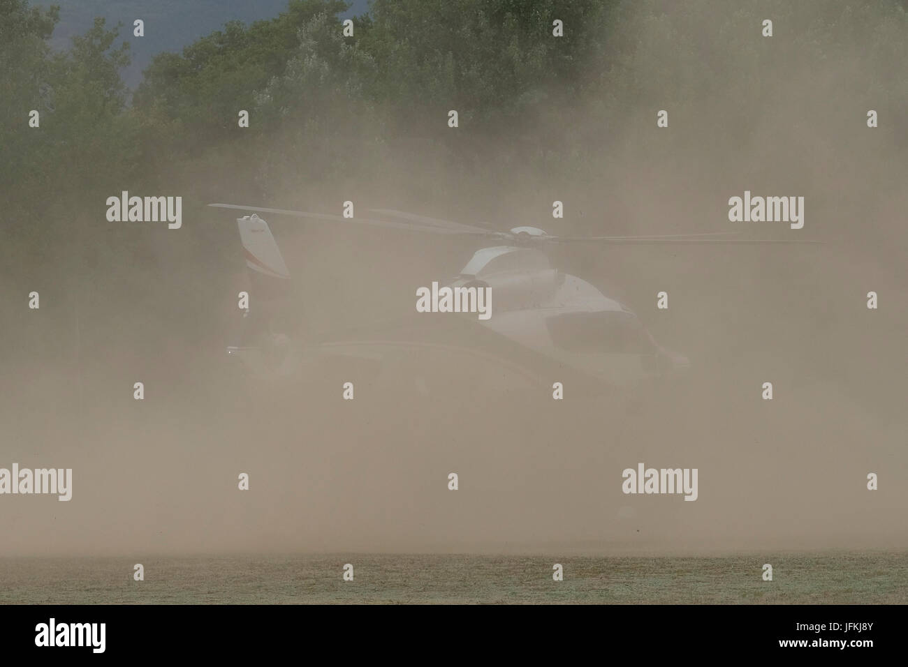 * NO WEB * Pietrasanta, St. Augustine's Cloister Prince Albert Ranieri ...