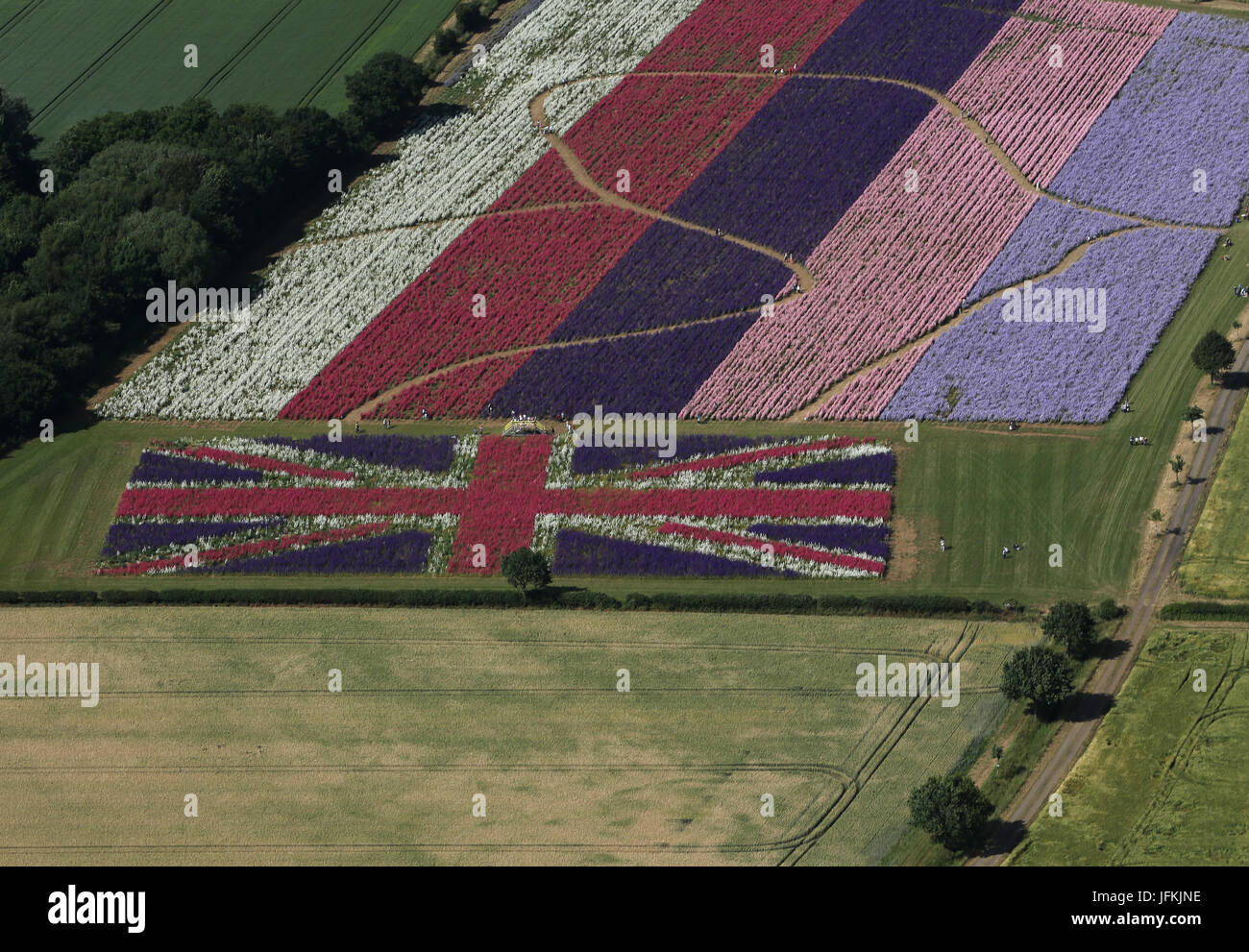Confetti field hi-res stock photography and images - Alamy