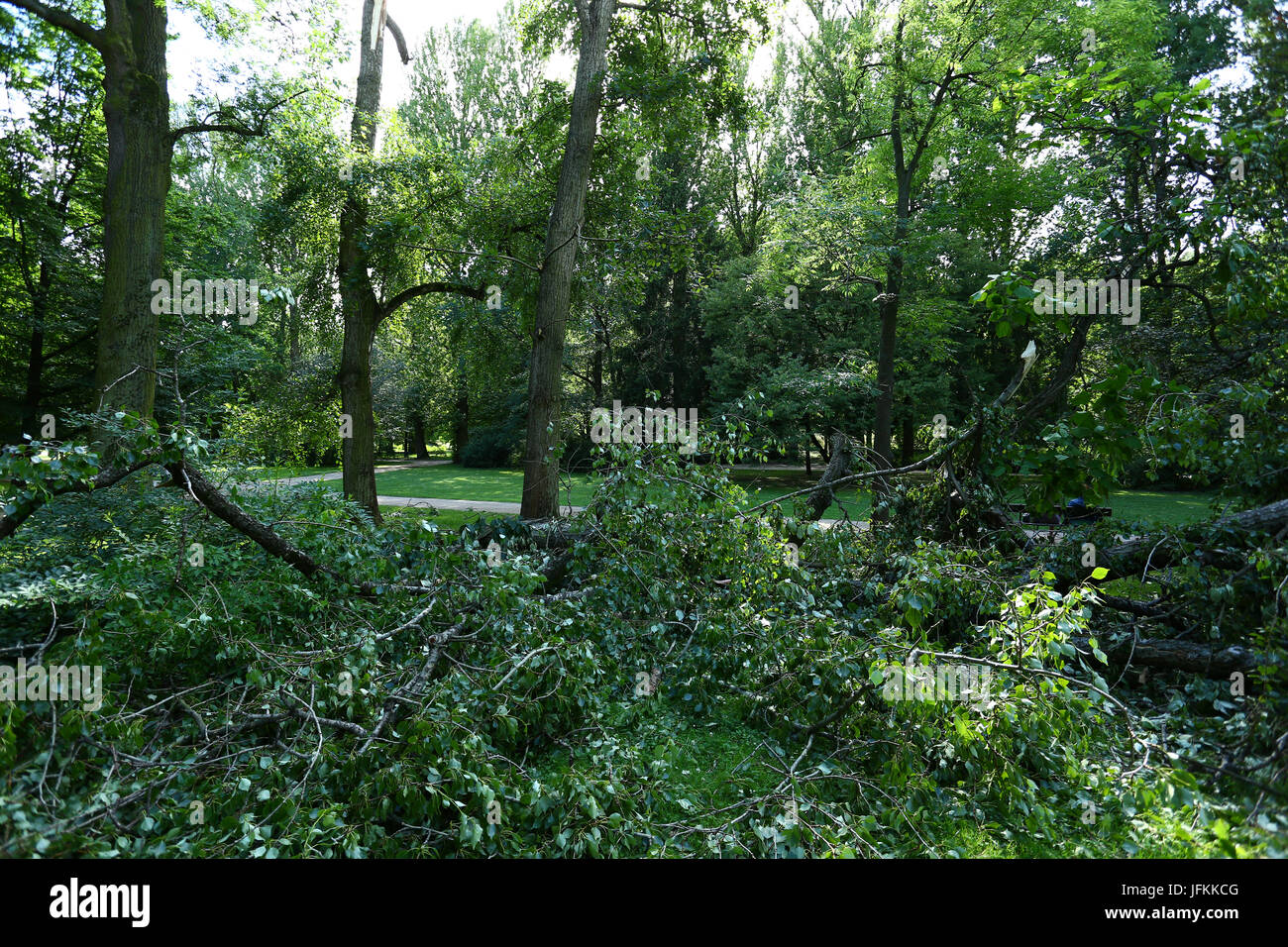 Poland, Warsaw, 1st July 2017: Destroyed and unrooted trees after storm ...