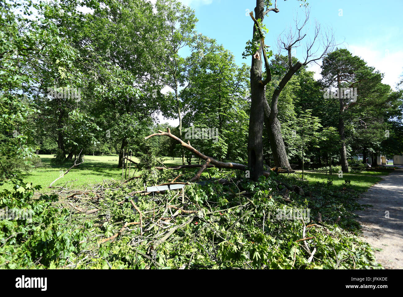 Poland, Warsaw, 1st July 2017: Destroyed and unrooted trees after storm ...