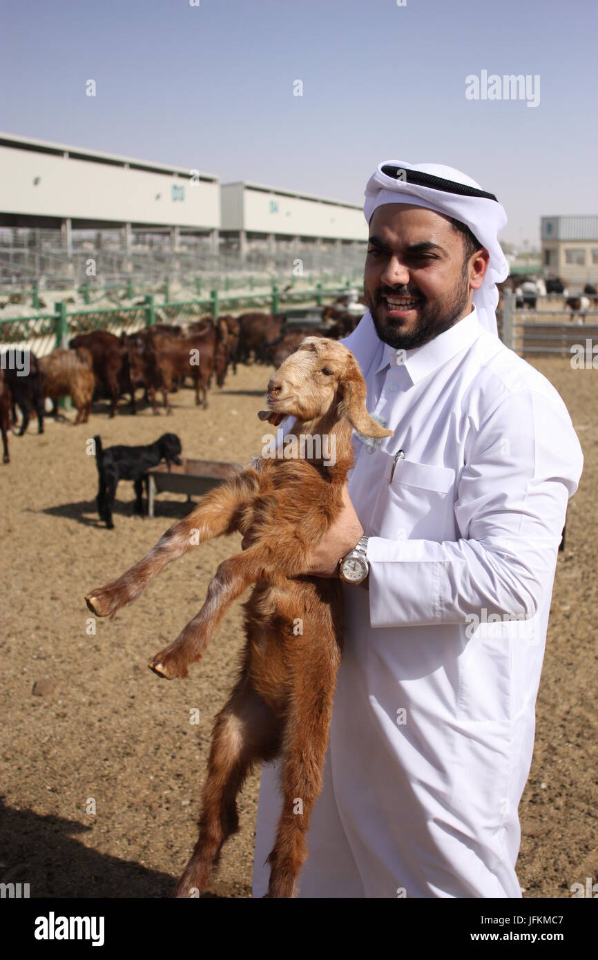 Ramis qatar hi-res stock photography and images - Alamy