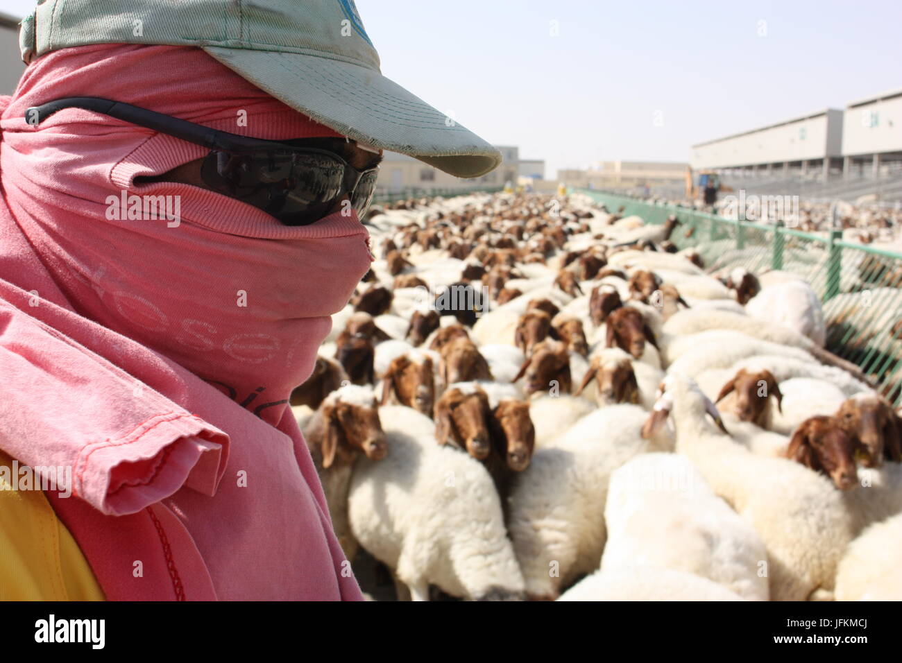 Doha, Qatar. 22nd June, 2017. An employee of the Qatari company Baladna ...