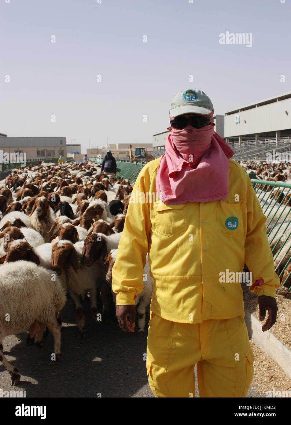 Doha, Qatar. 22nd June, 2017. An employee of the Qatari company Baladna ...
