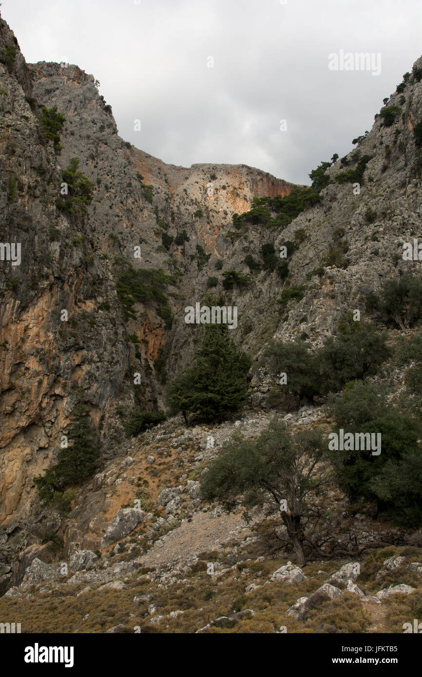 Aradena Gorge is a deep limestone canyon running from the Lefka Ori or ...