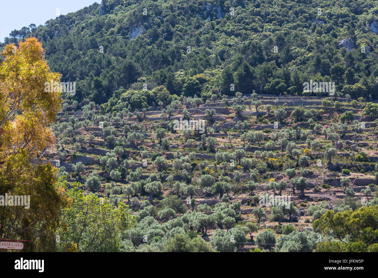 Terrace farming on mountains hi-res stock photography and images - Alamy