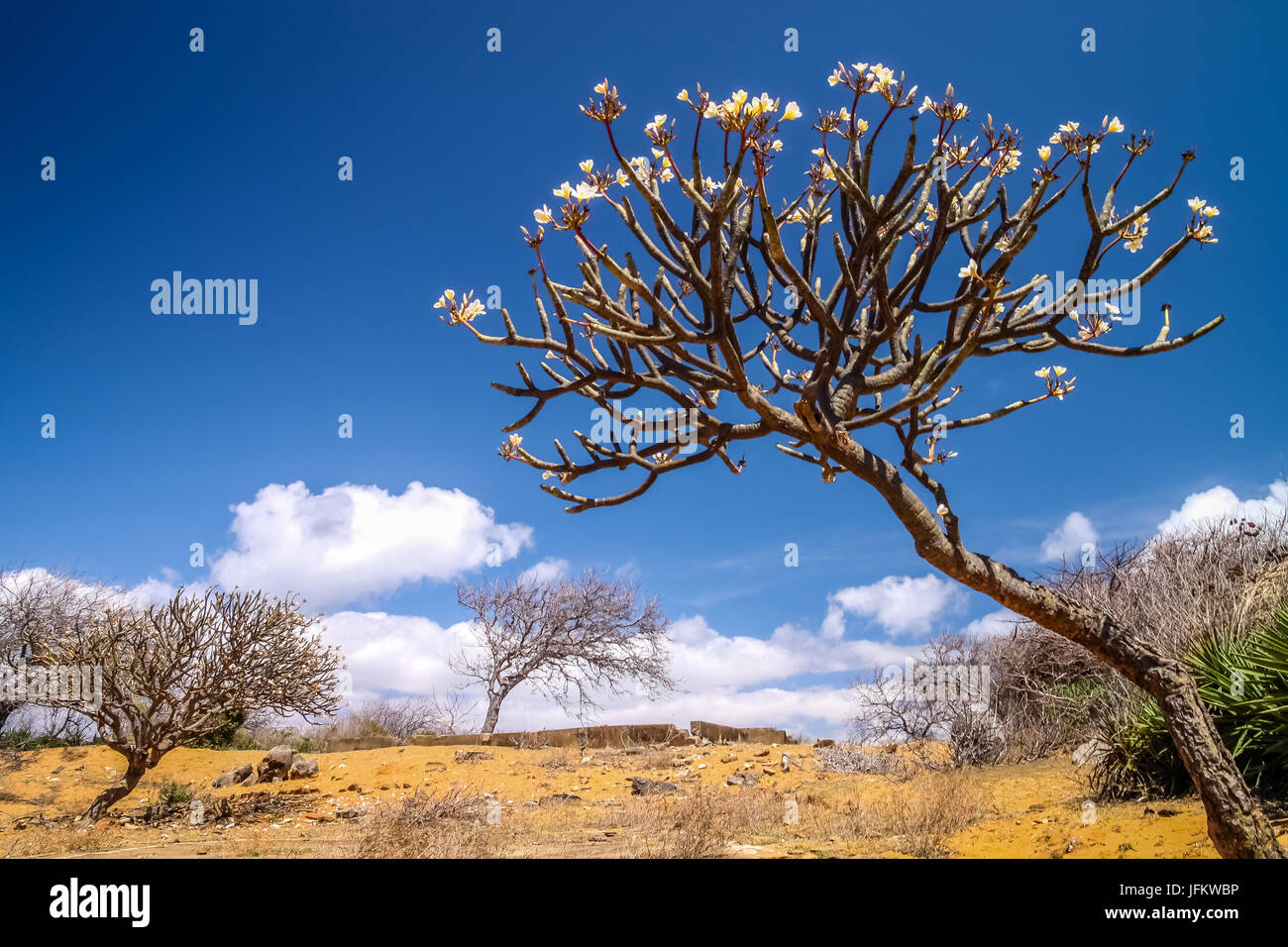 Northern Madagascar landscape Stock Photo - Alamy