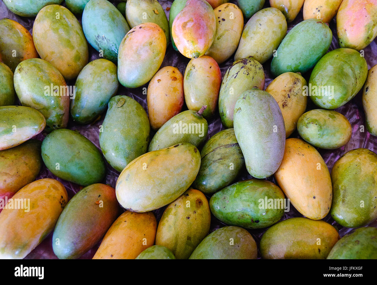Selling mango fruits at rural market in Mahebourg, Mauritius. Mahebourg ...