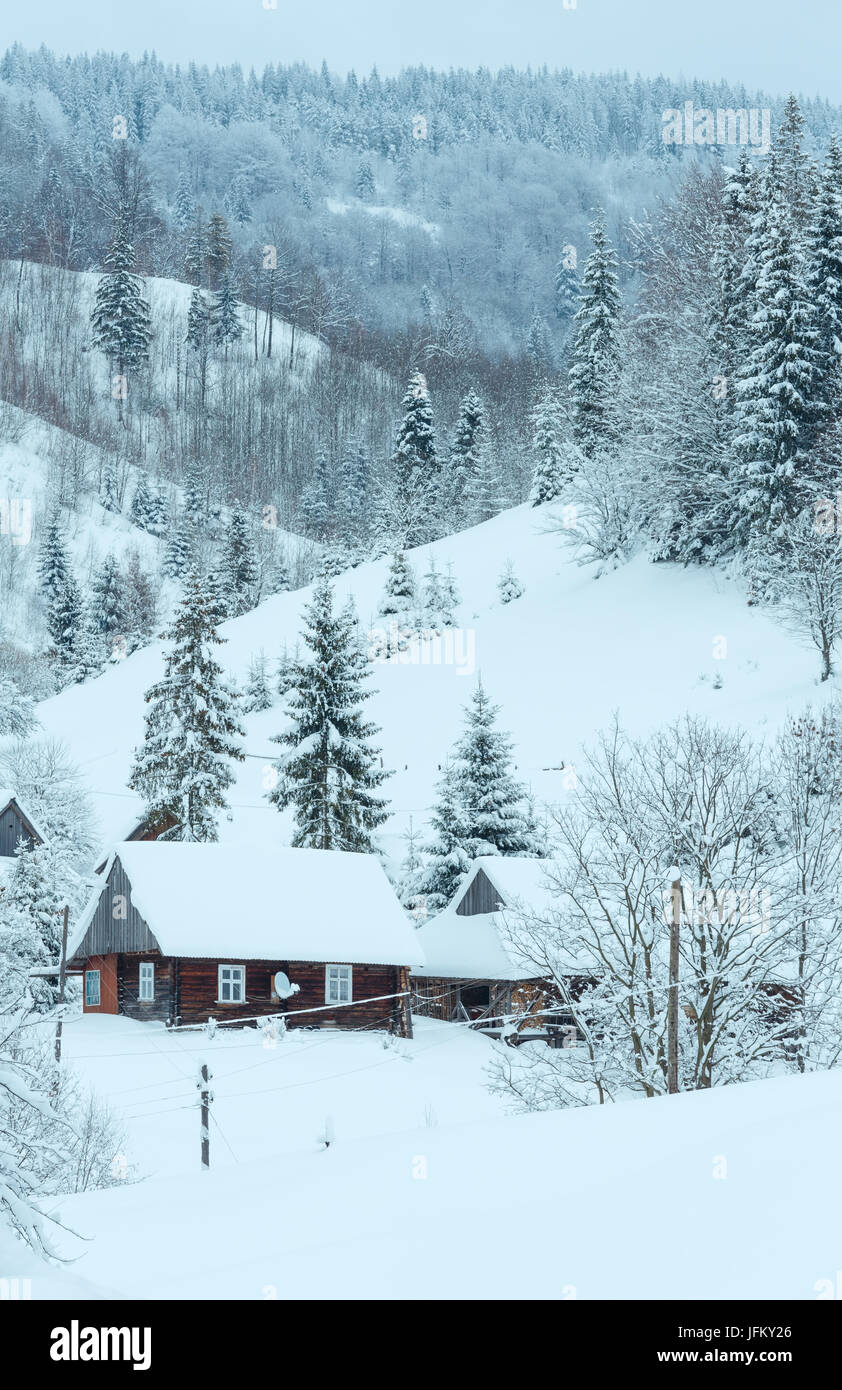 Winter Ukrainian Carpathian Mountains landscape Stock Photo - Alamy