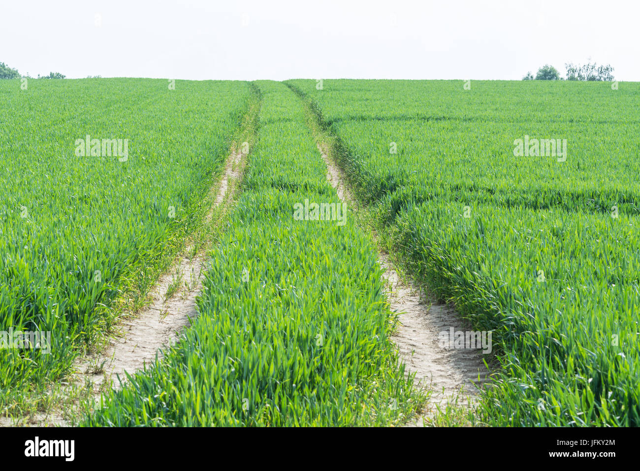 Green Tractor, Corn Stock Photos & Green Tractor, Corn Stock Images - Alamy