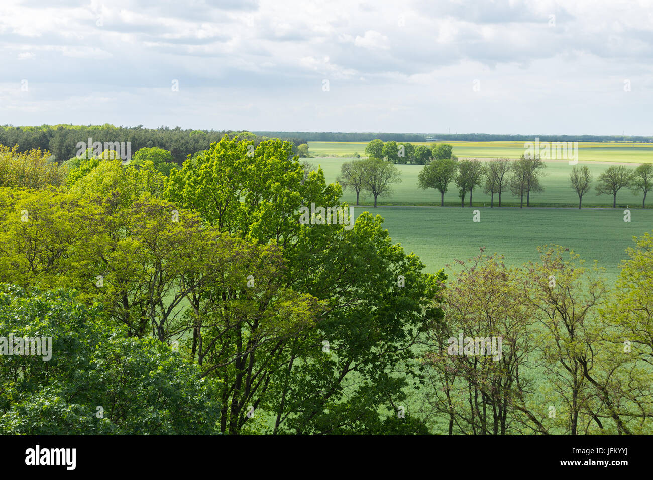 Trees and fields Stock Photo - Alamy