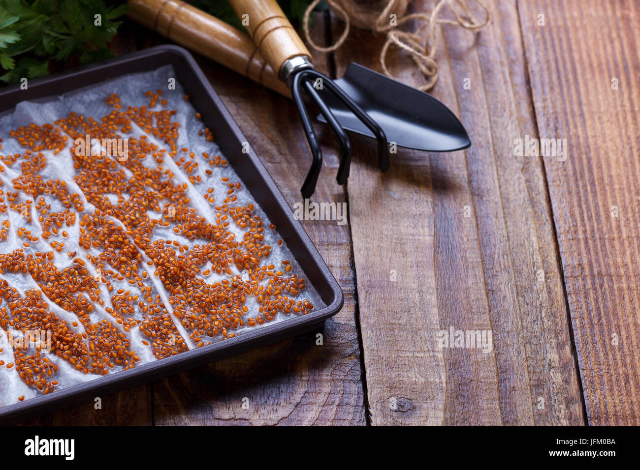 Cress seeds hi-res stock photography and images - Alamy