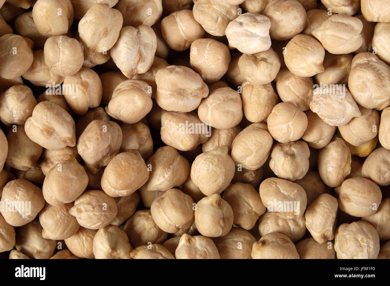 Full portrait of a chickpea Stock Photo - Alamy