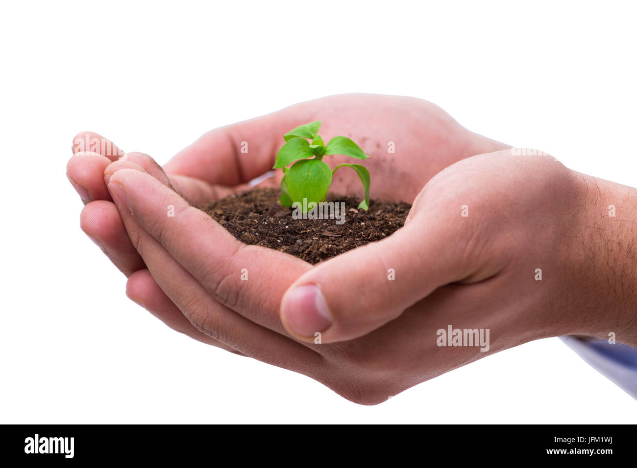 Hand holding seedling in new life concept on white Stock Photo - Alamy