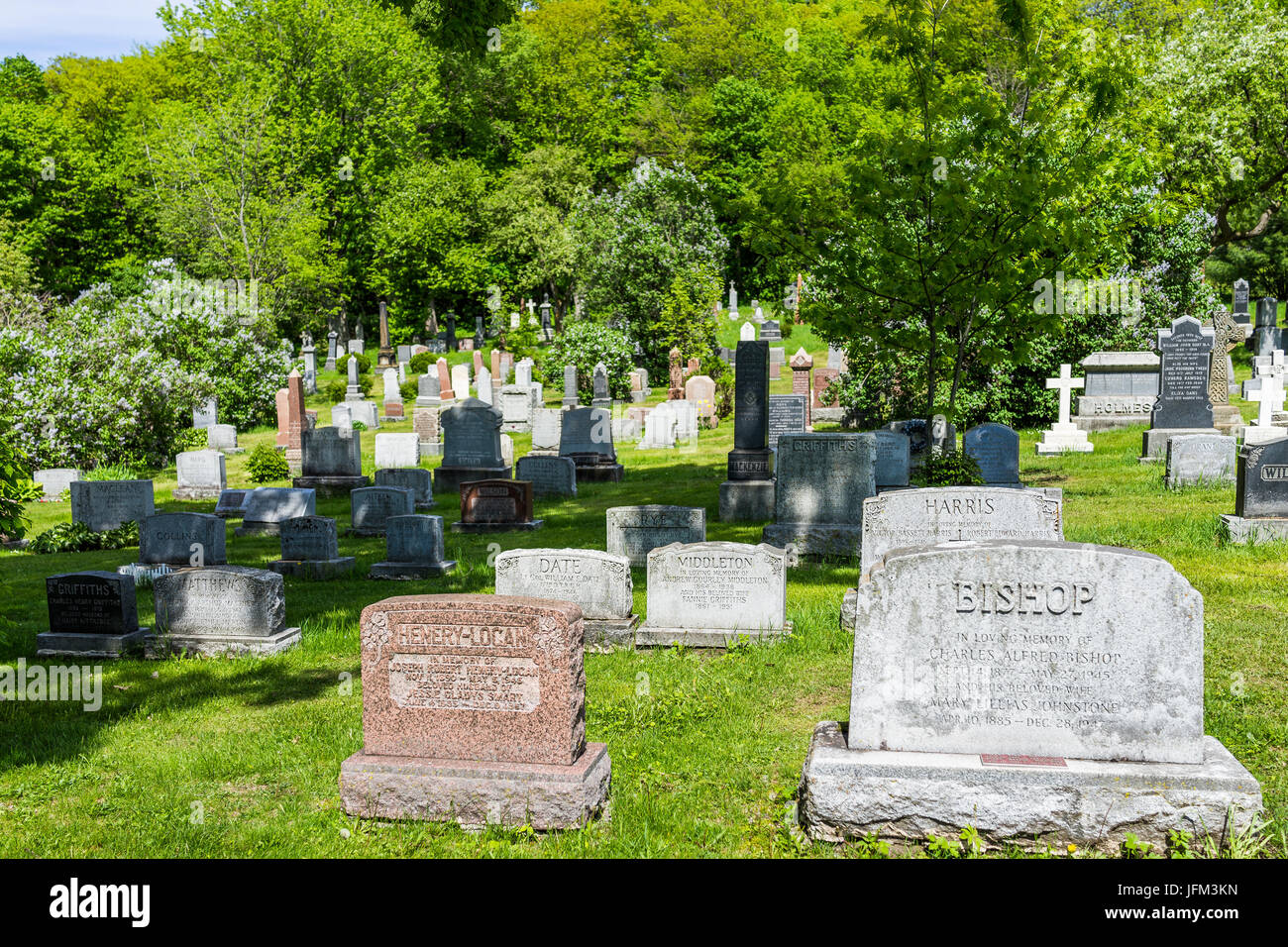 Mount royal cemetery hi-res stock photography and images - Alamy