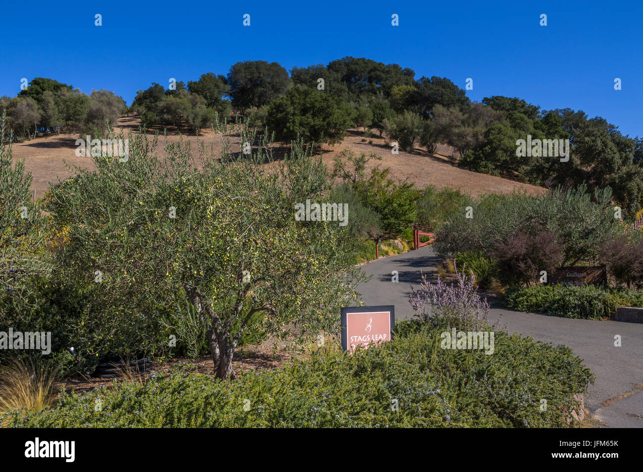 Lindstrom hi-res stock photography and images - Alamy