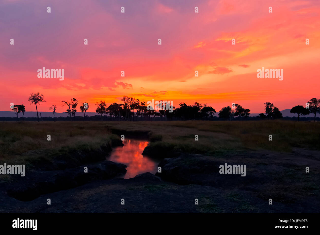 Puddle floor hi-res stock photography and images - Alamy