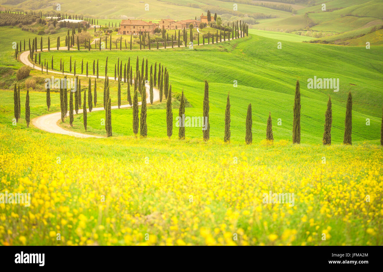 Podere baccoleno hi-res stock photography and images - Alamy
