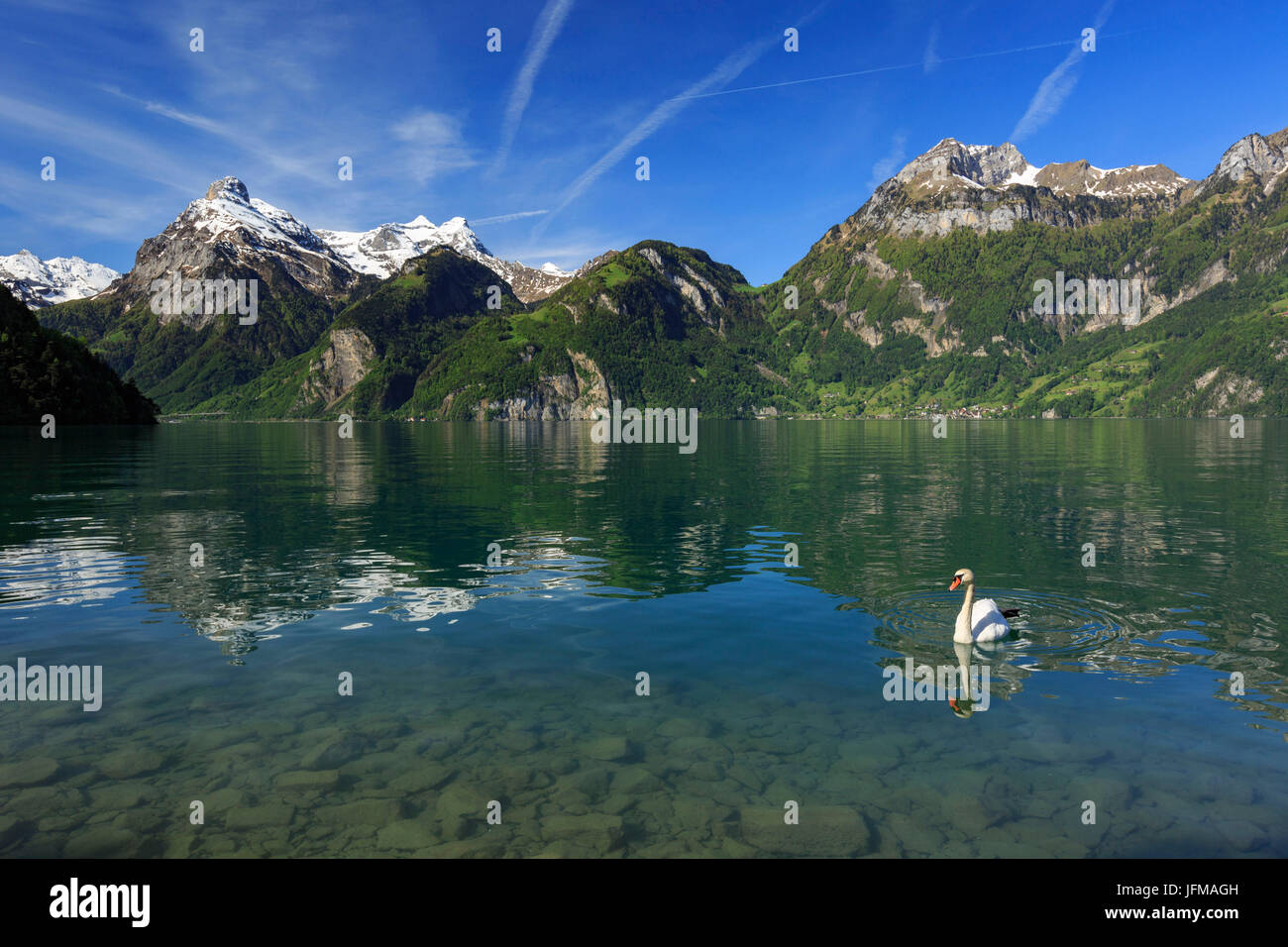Urnersee hi-res stock photography and images - Alamy