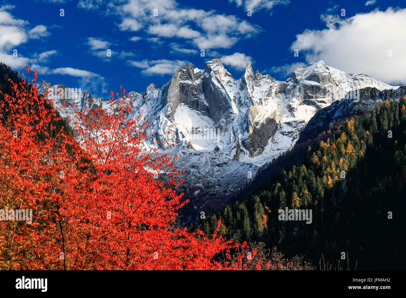 The overwhelming walls of the Sciore mountains in the Bondasca valley ...