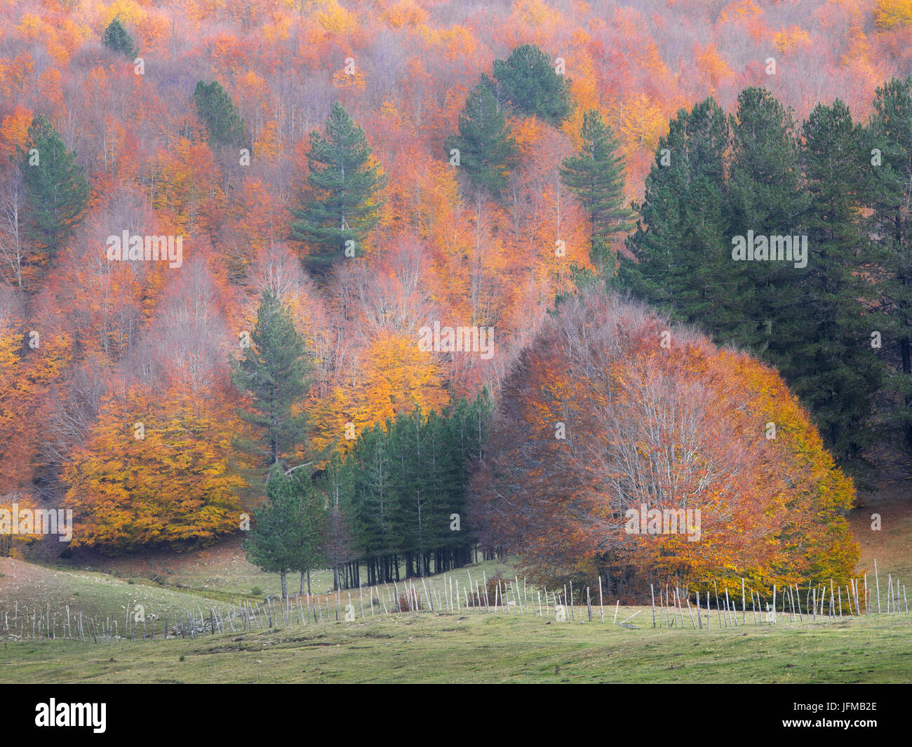 Buturo hi-res stock photography and images - Alamy