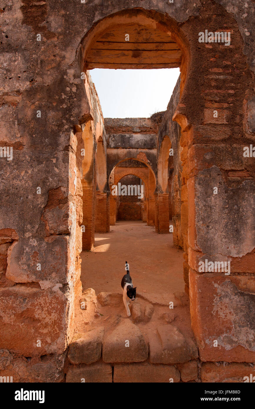 North Africa, Morocco, Rabat district, Archaeological site Chella Stock ...