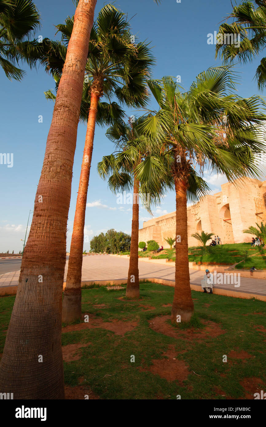 Granary tree hi-res stock photography and images - Alamy