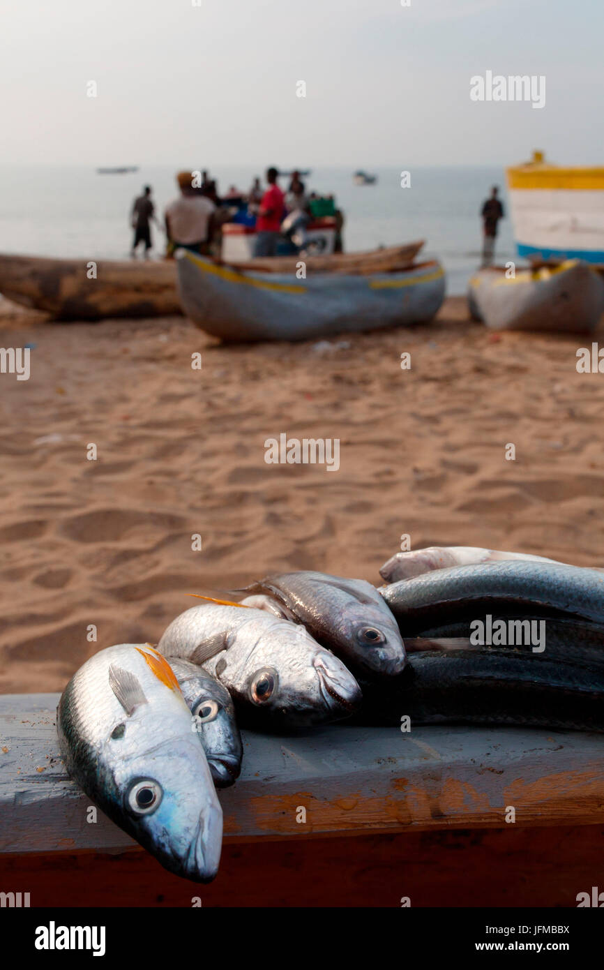 Salima District Fish Market At Lake Malawi High Resolution Stock ...