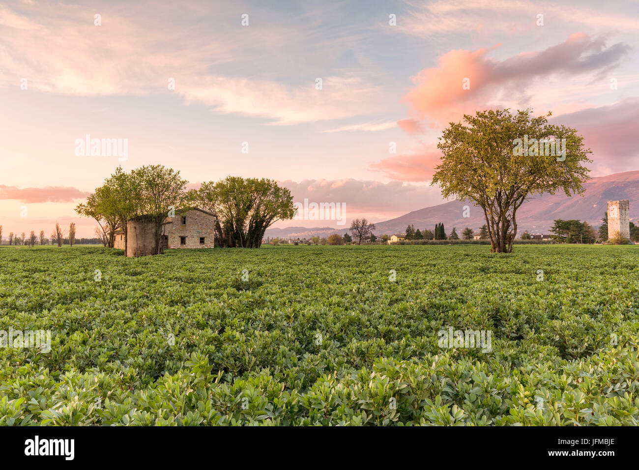 Europe, Italy, Umbria, Perugia district, Spello, Countryside Stock ...