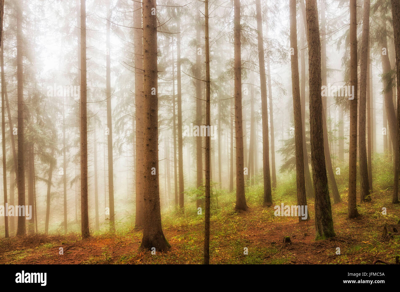 Fondo alto hi-res stock photography and images - Alamy