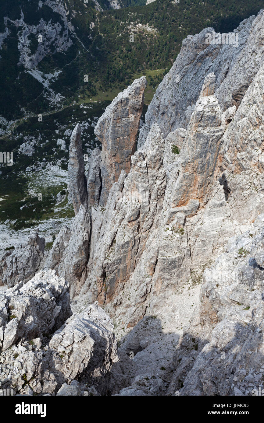 Pelsa hi-res stock photography and images - Alamy